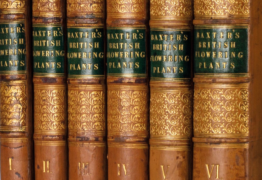 Toovey's Online Catalogue | Toovey's, Fine Art & Antique Auctioneers ...